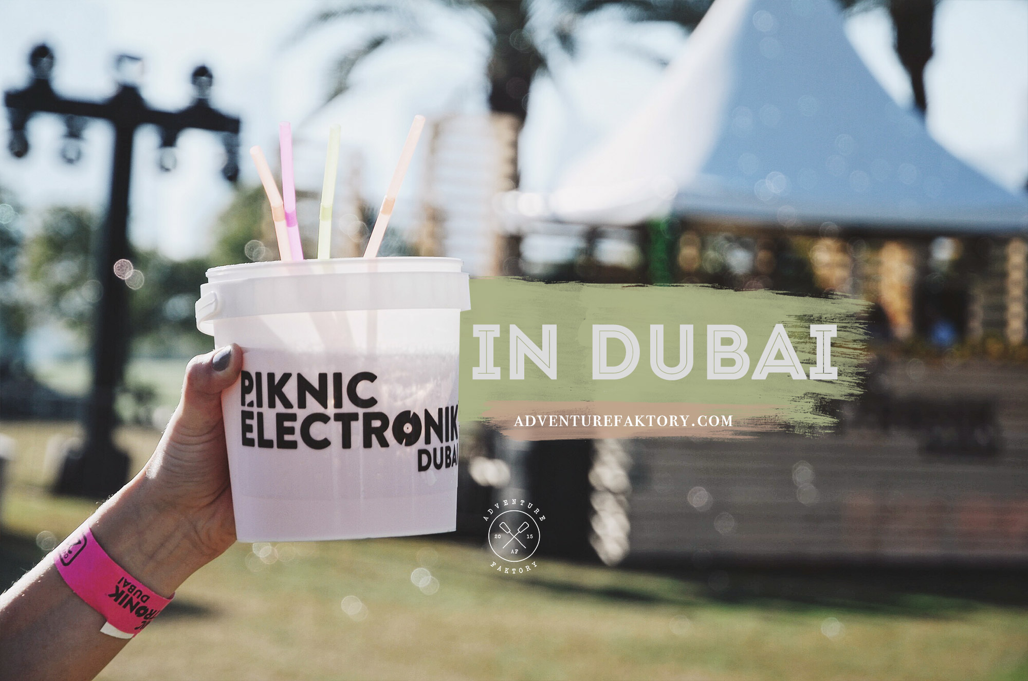 Piknic Electronik Dubai | AdventureFaktory – An Expat Magazine from ...