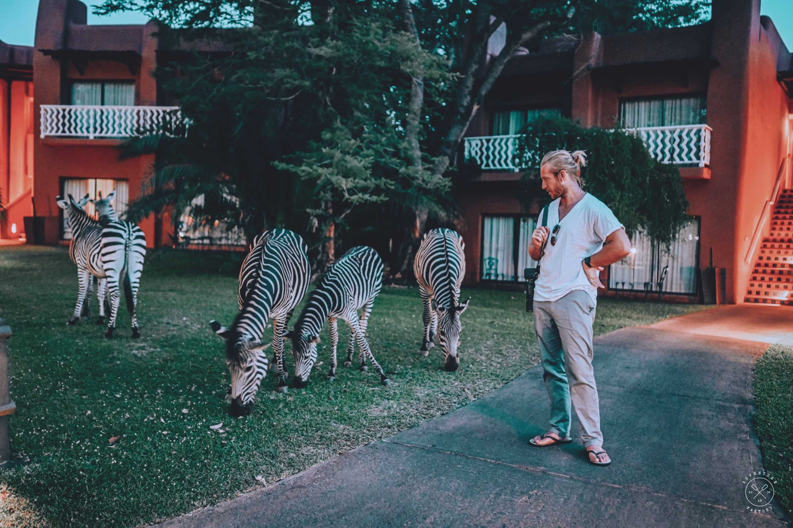 AVANI Victoria Falls Hotel & Resort: | AdventureFaktory Travel Magazine